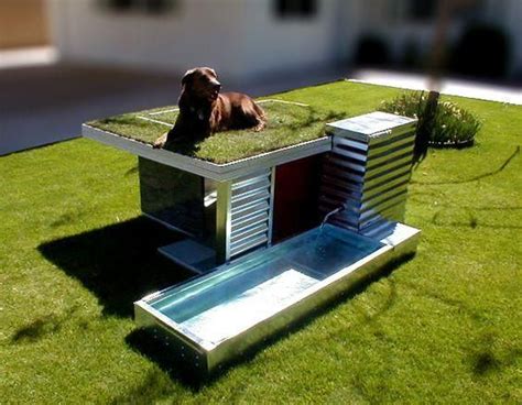 Descubre 22 Ideas De Caseta De Perro Y Casas Para Perros Grandes