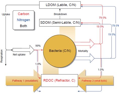 Schematic Diagram Of The MCP Module Lu Et Al Schematic Download Scientific Diagram