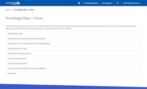 Dynamics 365 Portal Challenges And Solutions Part 1 Connecting Software