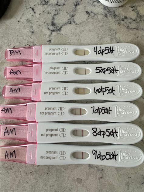 Pregnancy Test Results After A Frozen Embryo Transfer 43 Off