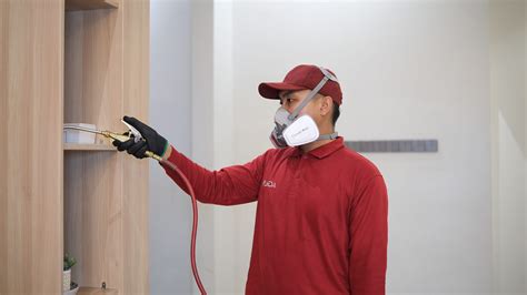 Di Rumah Banyak Laron Ini Cara Mengatasinya Fumida