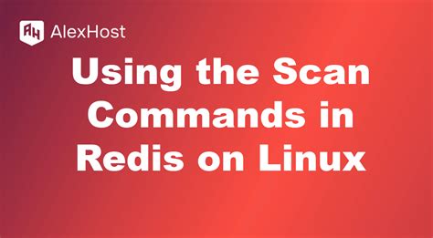 using the scan commands in redis on linux ⋆ alexhost srl