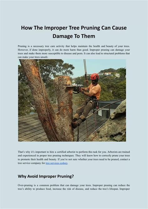PPT How The Improper Tree Pruning Can Cause Damage To Them Docx PowerPoint Presentation ID