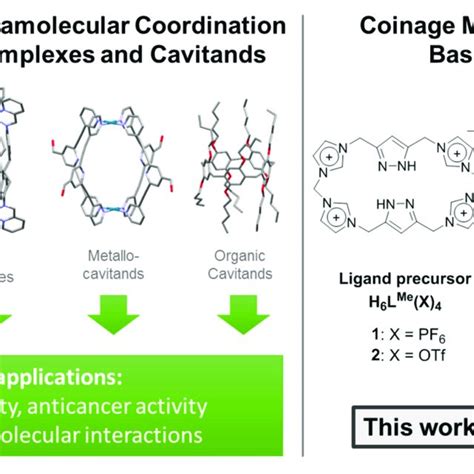 Left Overview Of Related Known Biomedical Relevant Compound