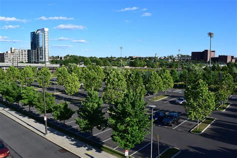 Trees Parking Landscape Free Photo On Pixabay