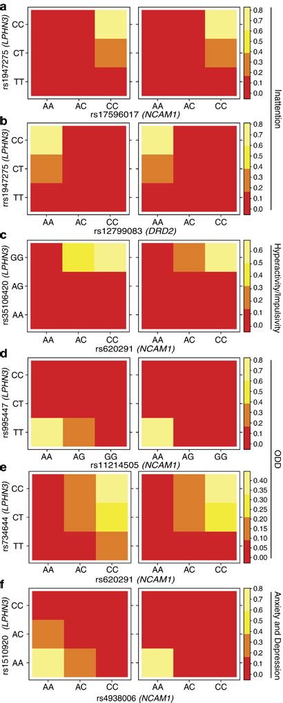 Genotypic Frequency Distribution For Pairs Of Single Nucleotide