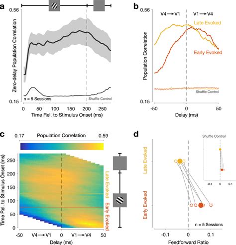 V1 V4 Interaction Transitions From Feedforward To Feedback Dominated Download Scientific