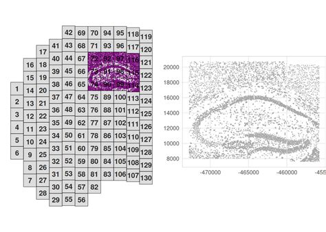 26 Workflow Cosmx Orchestrating Spatial Transcriptomics Analysis