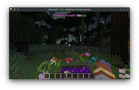 Dimension Viewer