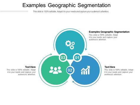 Examples Geographic Segmentation Ppt Powerpoint Presentation