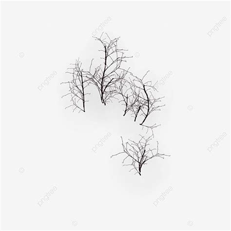 Tree Branch Branch Trunk Tree PNG Transparent Image And Clipart For Free Download