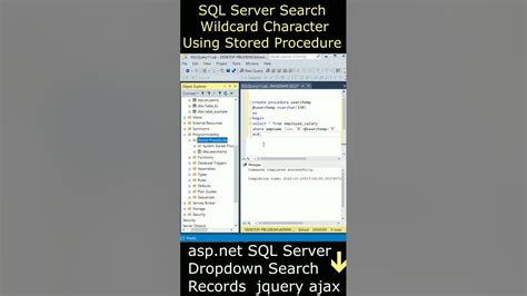 Search Records With Wildcard Using Stored Procedures Sql Server Youtube Search Records With Wildcard Using Stored Procedures Sql Server Youtube