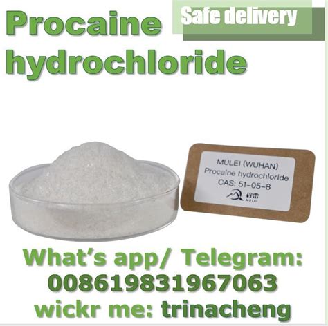 Supply 99 Procaine Hydrochloride Procaine Hcl Cas 51 05 8 Raw Powder