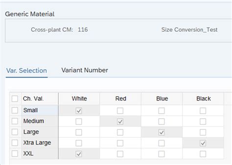 Characteristic Values Conversion In S4 HANA Fashio SAP Community
