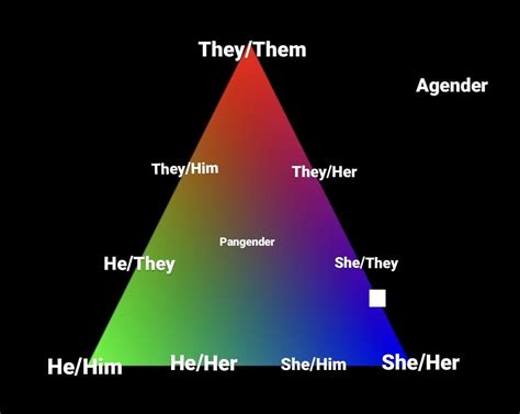 Soo Pronouns Are Genders Now Or R Truscum