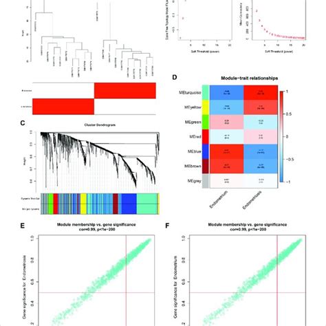 Co Expression Analysis In The Gse11691 Dataset A Clustering