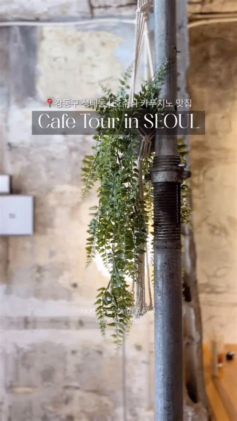 비플라 홈카페 Homecafe☕️홈바리스타 야 너도 집에서 바리스타 될 수 있어” 비플라 깜짝 6월 기획전 나도 바리스타 오직 비플라 공식 스마트스토어