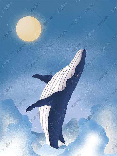 해상 고래 일러스트 손그림 삽화 고래 대양 손으로 그린 일러스트 Pngtree 로열티 무료