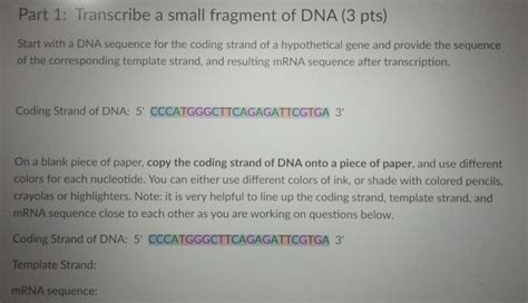 Solved Part Transcribe A Small Fragment Of DNA Pts Chegg Com
