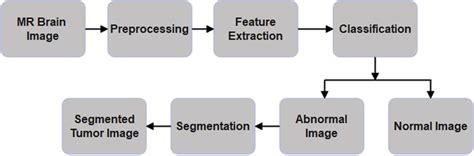 The Block Diagram Of The Proposed Brain Tumor Segmentation Download Scientific Diagram