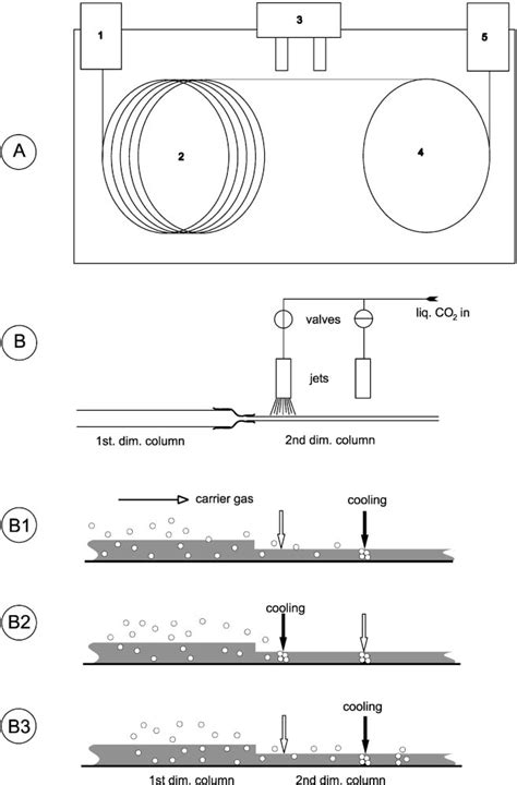 Figure 1 From Comprehensive Two Dimensional Gas Chromatography A Powerful And Versatile