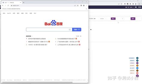 Metersphere Ui测试之调用本地浏览器 知乎