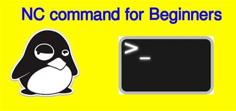 Nc Command Ncat For Beginners Linuxtechlab