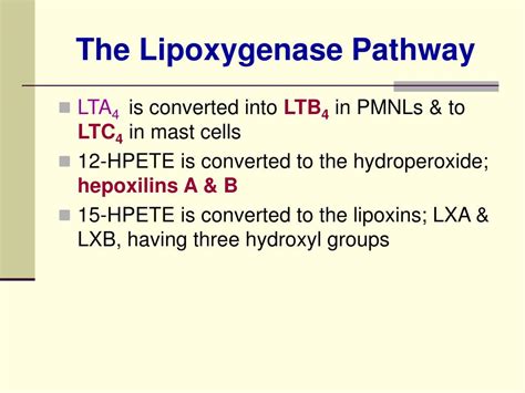 Ppt Eicosanoids Powerpoint Presentation Free Download Id 6877143