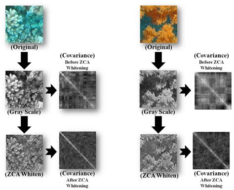 6 Two Examples Of Zca Whitening Using Mlc And Ads Dataset Download