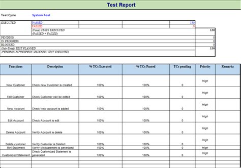 Testing Daily Status Report Template TEMPLATES EXAMPLE TEMPLATES EXAMPLE