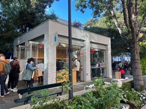 How My Misconception Shaped My View Of Blue Bottle Jaewoo Joo