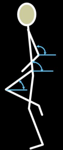 KIN311 Angular Kinematics Flashcards Quizlet