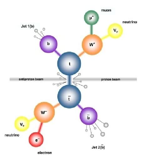 Collision Of Proton And Anti Proton Resulting In A W Or Z Boson Which