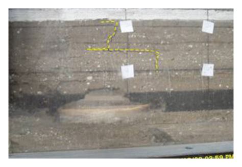 Evolution Process Of Mining Roof Caving In Coal With A Thickness Of