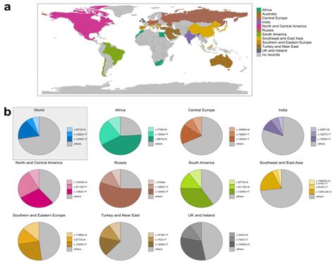 Compilation Of Genotype And Phenotype Data In Gcdh Lovd For Variant Classification And Further