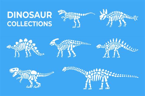 120 Silouhette Dinosaur Skeletons Stock Illustrations Royalty Free