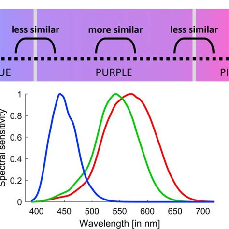 Categorical Perception A Basic Idea Of Categorical Perception Grey