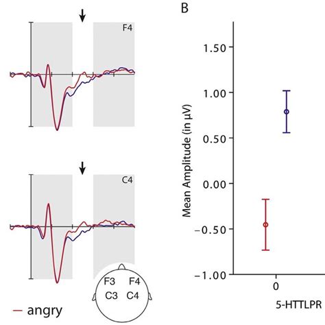This Figure Shows The Grand Average Of The Erp Responses To Happy Download Scientific Diagram