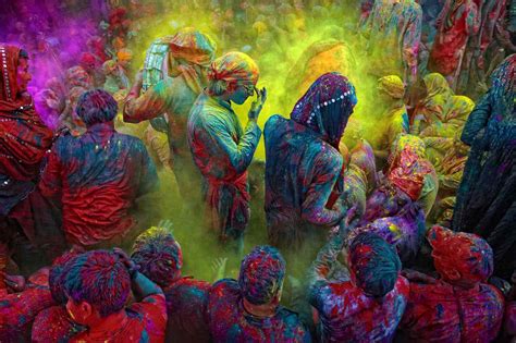 20 Meerkat Facts You Havent Heard Before Ohmyfacts