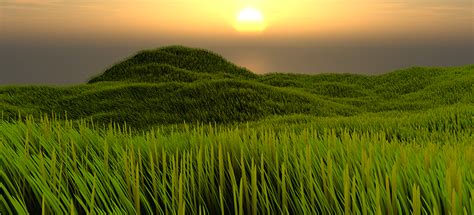 Github Mreinfurtgrassdirectx Realistic Grass Rendering Using
