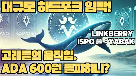 카르다노 에이다 가격 움직임 전망 고래의 대규모 매수 증가 창 하드포크 Youtube