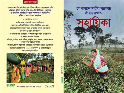 Productions Under Cfli Sehd