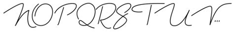 Joyeux Script Regular Font Script Elegant What Font Is