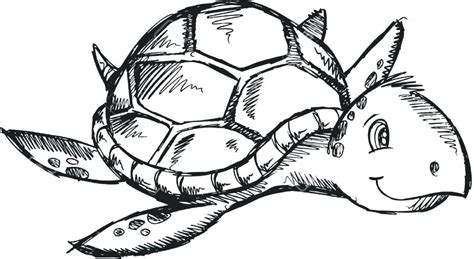 Loggerhead Sea Turtle Drawing Free Download On ClipArtMag