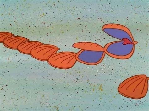Sand Dollar Spongebob Coral Bits Spongebob Spongebob Shells
