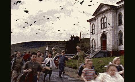  Alfred Hitchcock The Birds Remix Animated  On Er