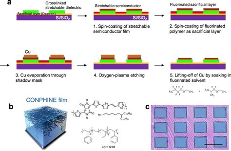 Etching Based Patterning For Stretchable Semiconductors A Detailed Download Scientific Diagram