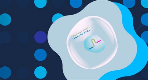 Quantum Barcoding Technology Scale Biosciences