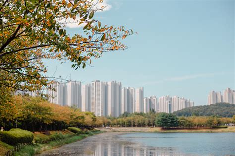 한국 안산의 화랑 레크리에이션 지역 공원의 호수와 아파트 건물의 가을 풍경 대한민국에 대한 스톡 사진 및 기타 이미지 대한민국 안산 0명 Istock