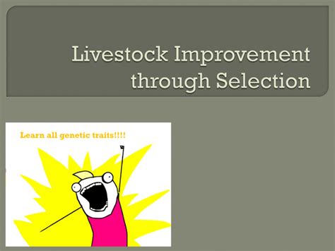 Livestock Improvement Through Selection